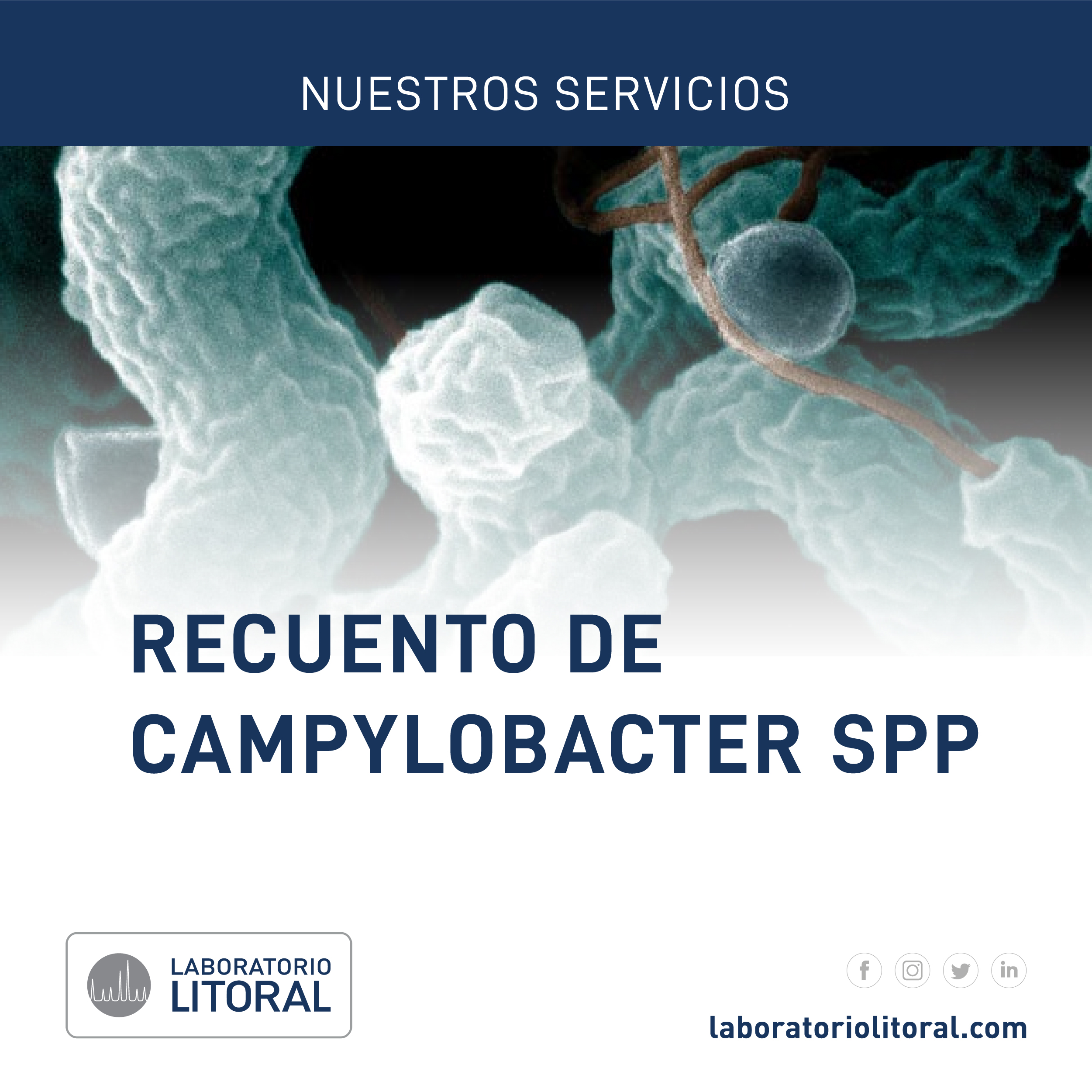 Recuento de Campylobacter spp - Laboratorio Litoral
